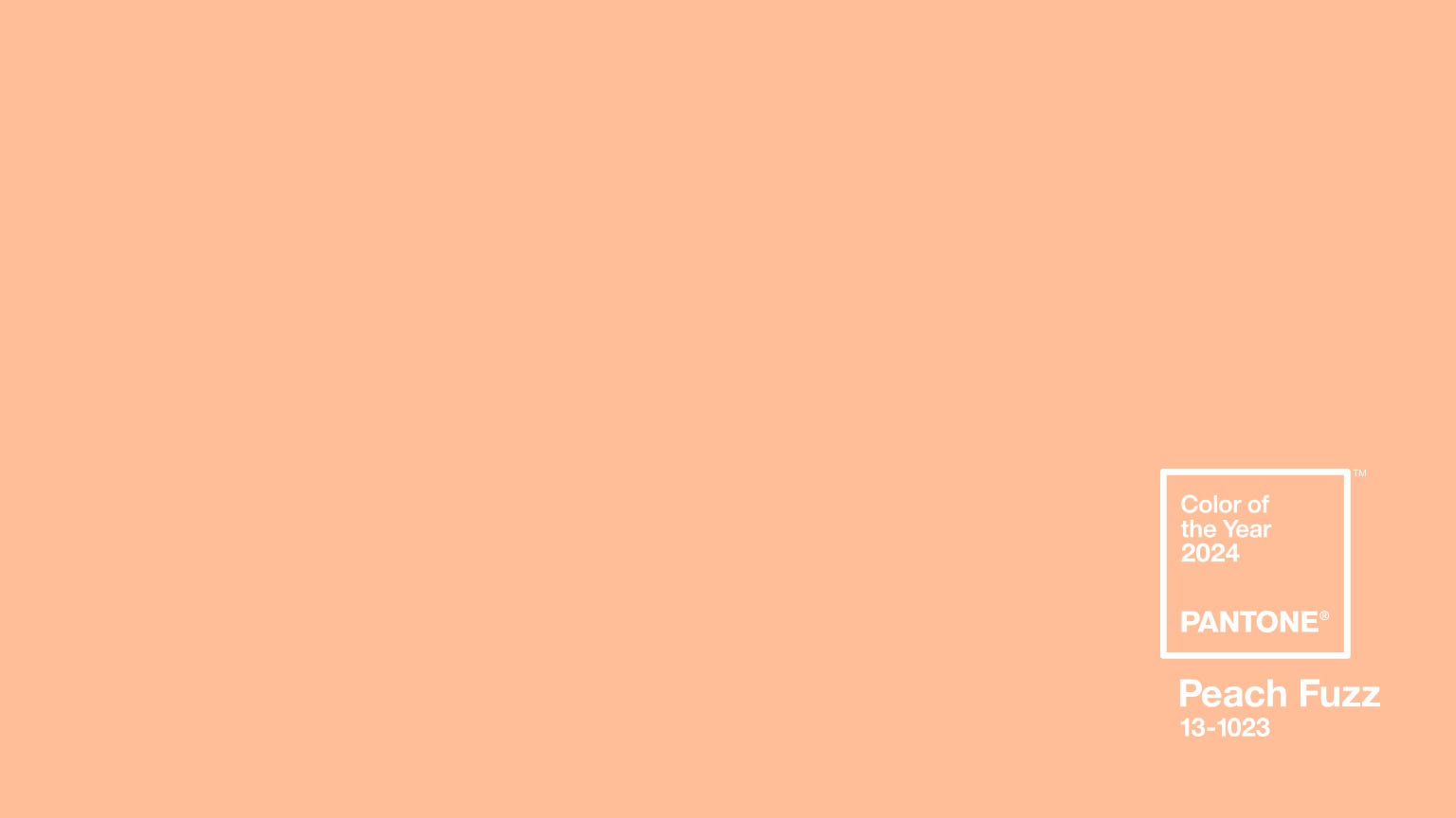 PANTONE 2024: Explorando el Color del Año